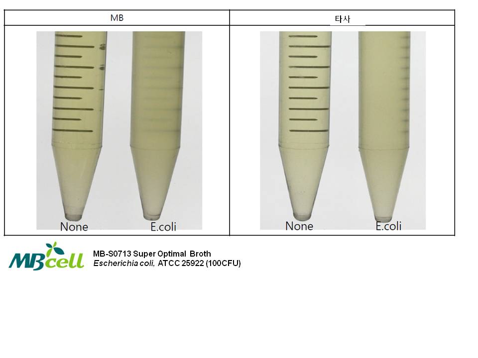 Kisanbio SOB (Super Optimal Broth) | 캐시바이